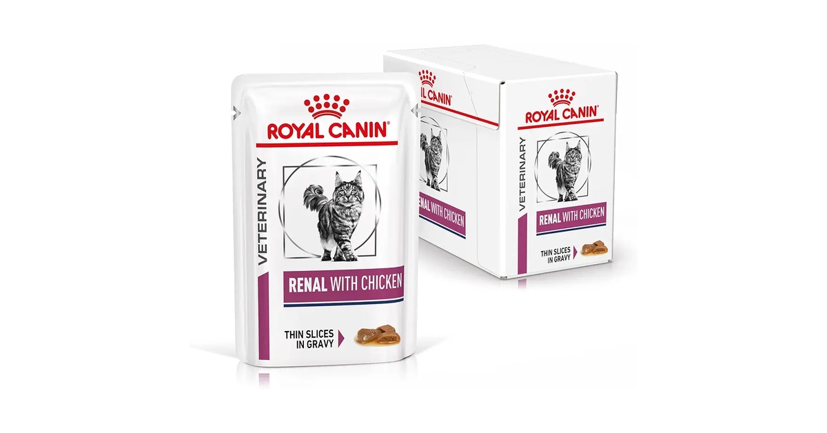 Melhor Sachê para Gato Renal: Guia de Escolha Essencial