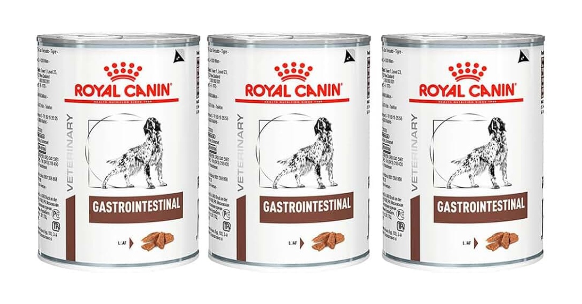 Qual a Melhor Marca de Ração para Cachorro Vira Lata? Guia Completo